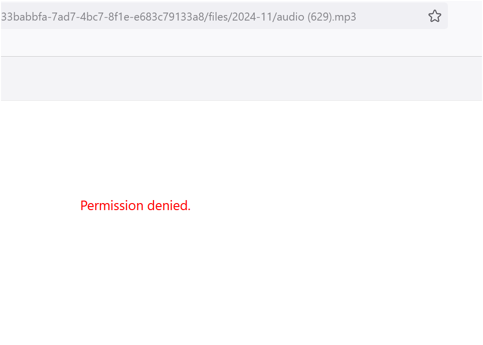 Issue with Public Access to Audio Files on Seatable Hosted - User Talk - SeaTable Forum